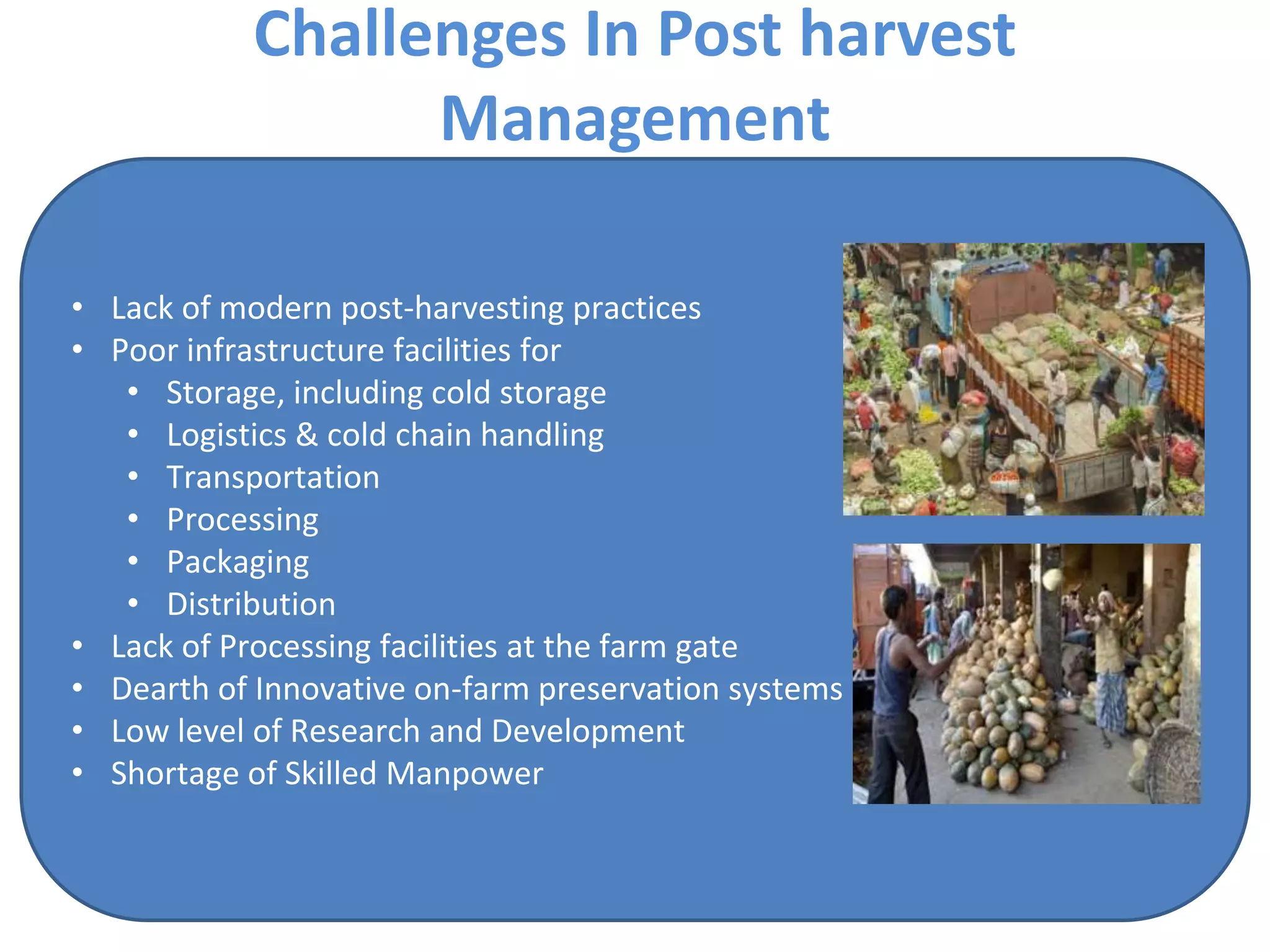 Post harvest logistics & food processing | PPTX