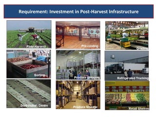 Post harvest logistics & food processing | PPTX | Agriculture | Industries