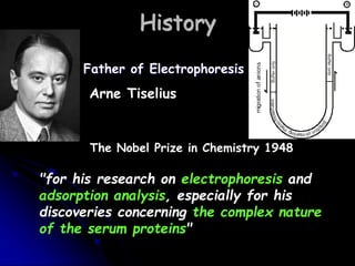 68. Electrophoresis | PDF