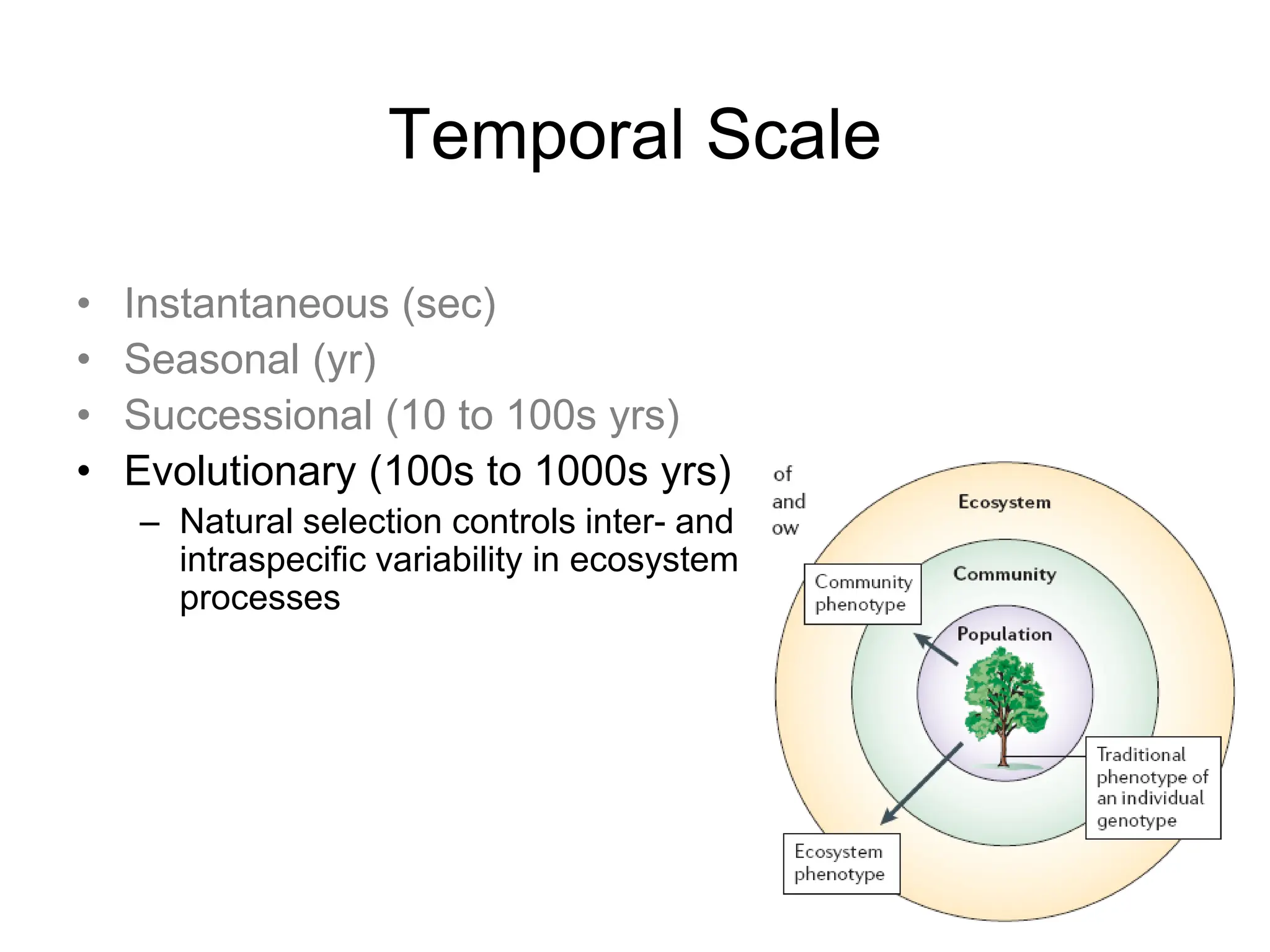 Ecosystem EcologyOverview of people and events important in the ...