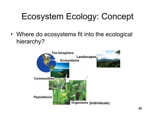 Ecosystem EcologyOverview of people and events important in the ...