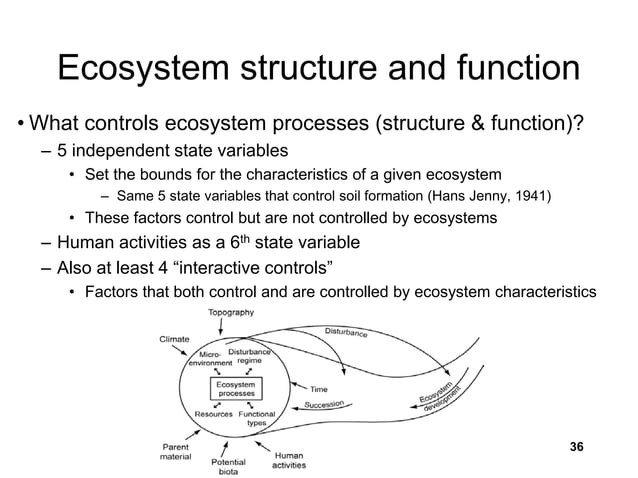 Ecosystem EcologyOverview of people and events important in the ...