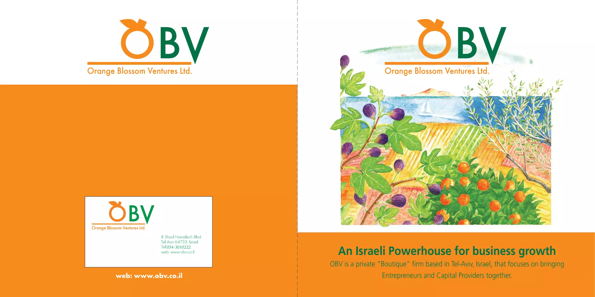 OBV For Startups | PDF