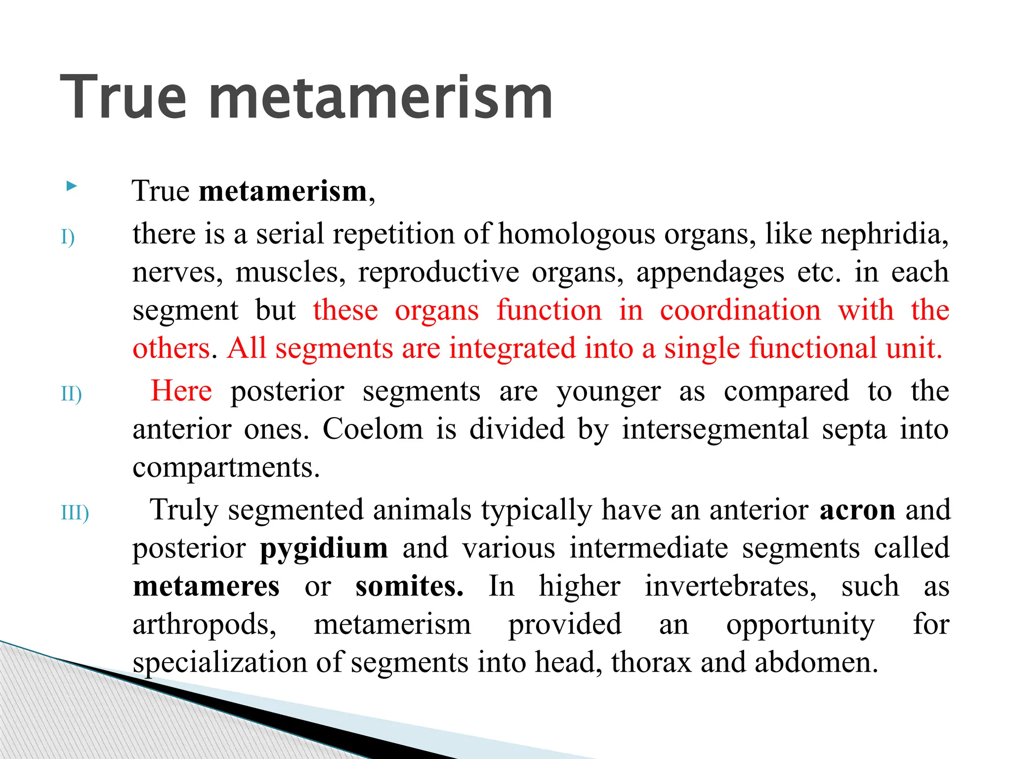 683713269-Evolution-of-Coelom-and-Metamerism.pdf
