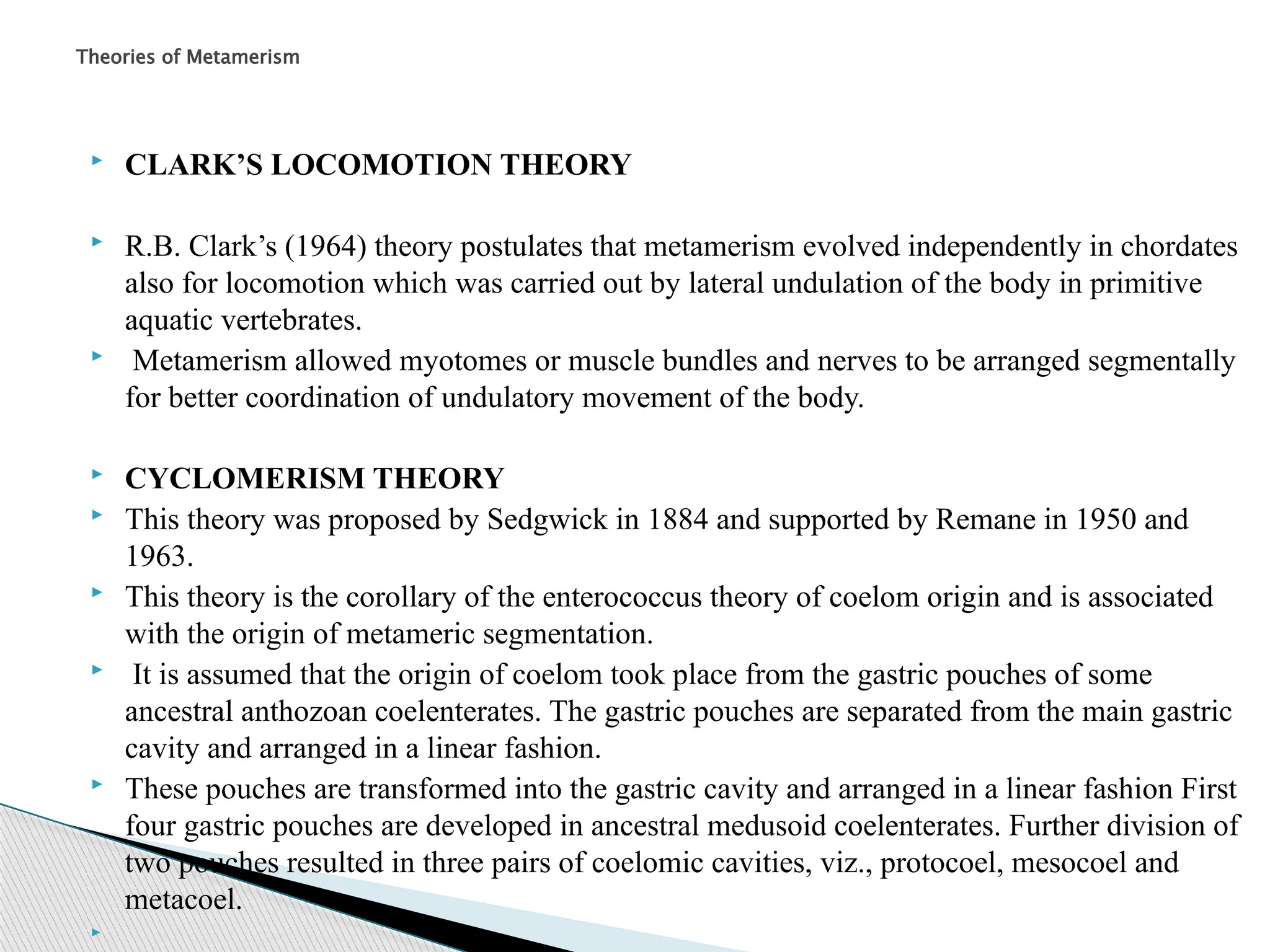 683713269-Evolution-of-Coelom-and-Metamerism.pdf