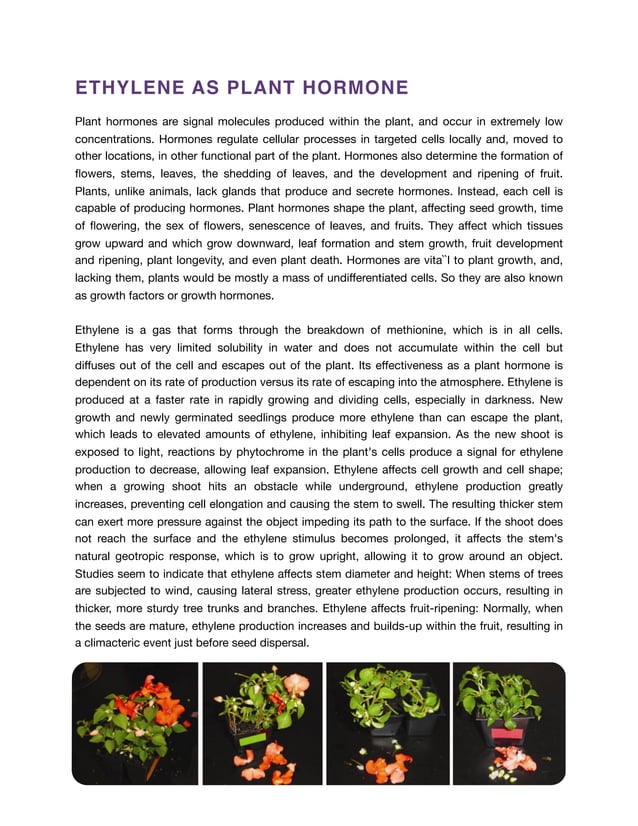 LoggerDaisy RipeSENSE | PDF