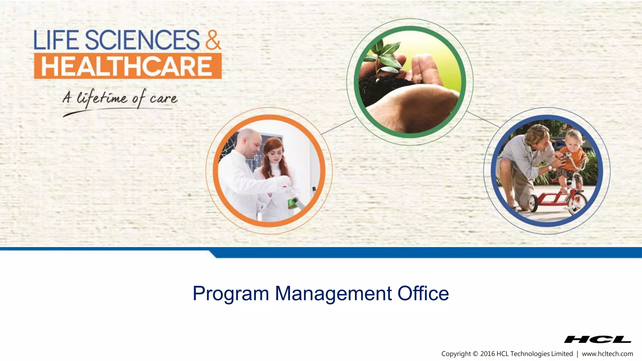 Program Management Office (PMO) | PDF