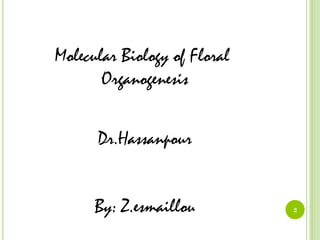 ABC model of flower development | PDF