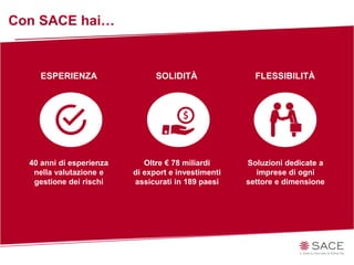 SACE SRV - Debt Collection | PPT