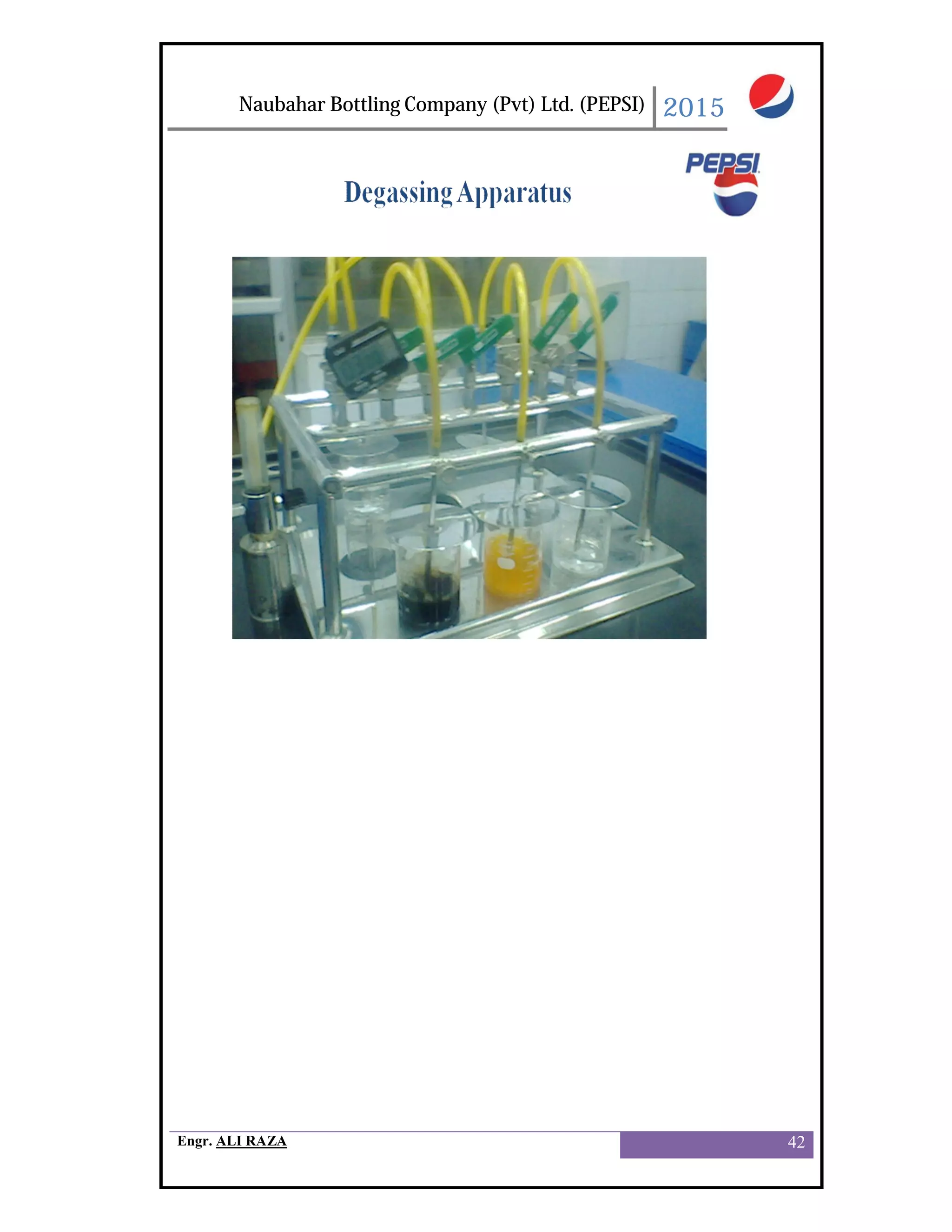 REPORT (PEPSI) FINAL | PDF