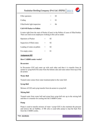 REPORT (PEPSI) FINAL | PDF
