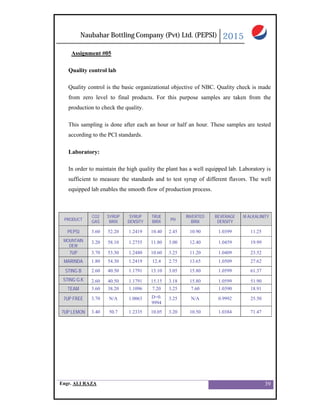 REPORT (PEPSI) FINAL | PDF