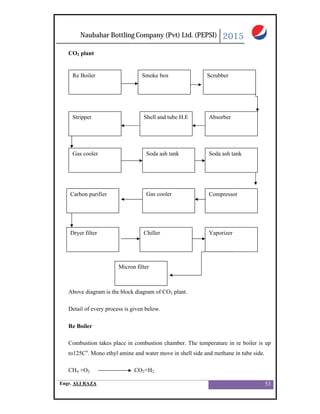 REPORT (PEPSI) FINAL | PDF