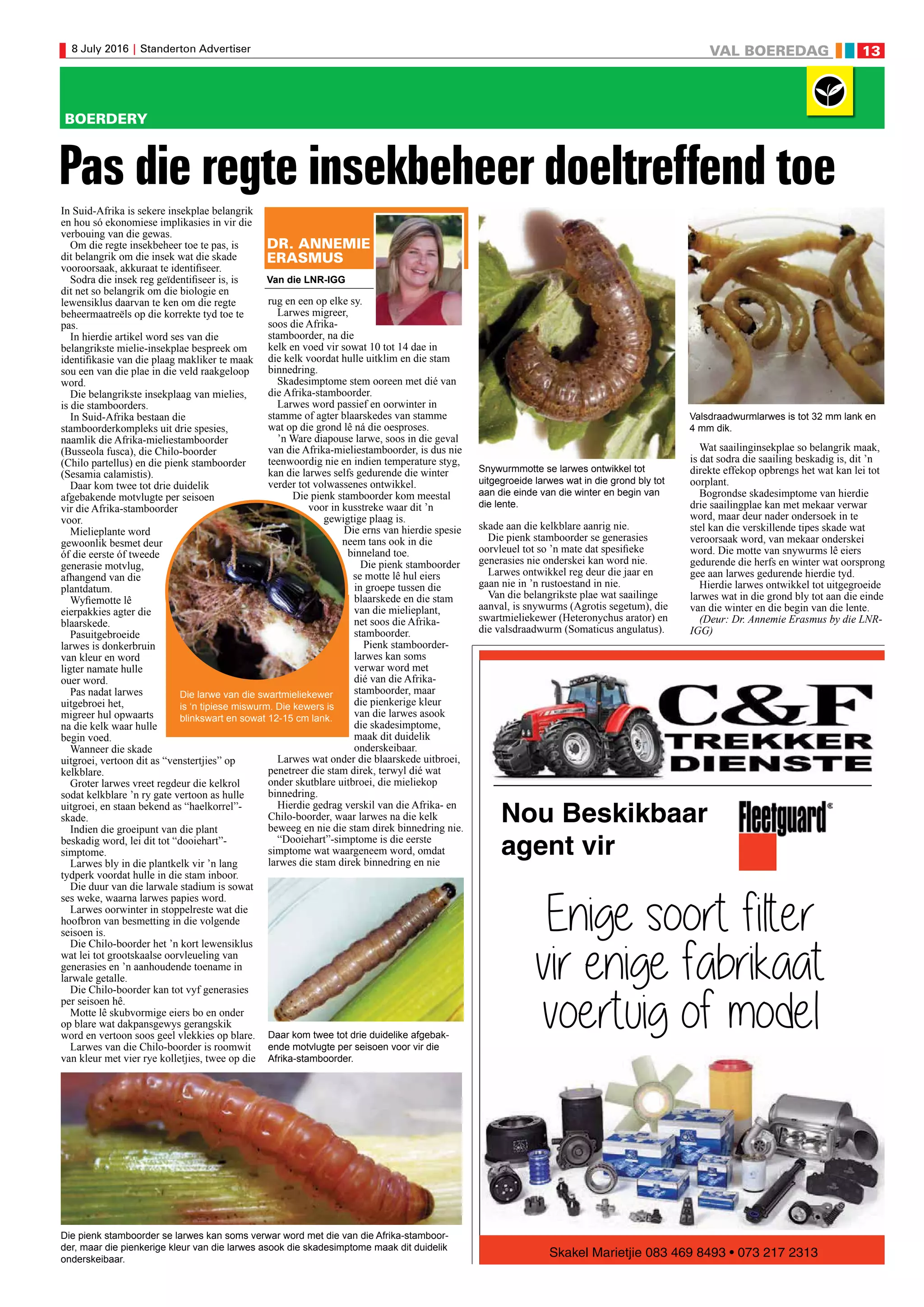 Standerton Advertiser redesign | PDF