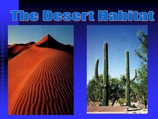 Habitat living organisms grade 3 adaptations.ppt