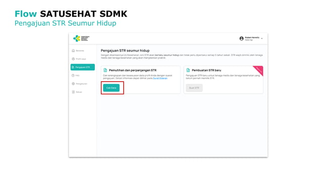 689280206-KEBIJAKAN-SATU-SEHAT-SDMK-dan-PENERBITAN-SIP-PPNI.pdf