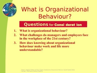 6897183 chapter-1 what-is-organisational-behaviour | PDF