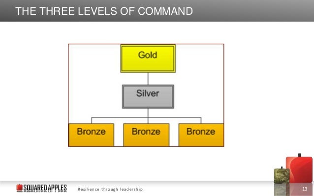 2014_Developing network resilience
