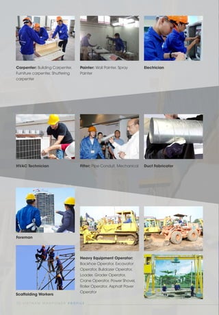 Vietnam-Manpower-Profile-2016 | PDF