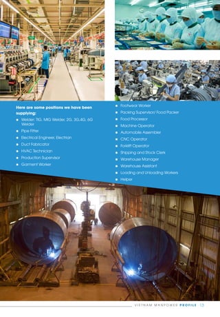 Vietnam-Manpower-Profile-2016 | PDF