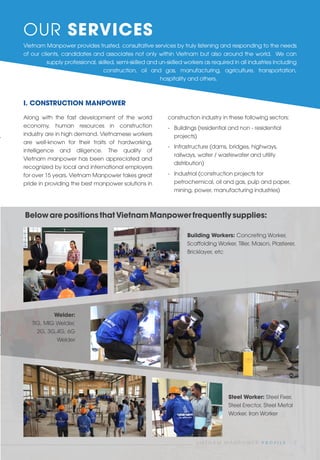 Vietnam-Manpower-Profile-2016 | PDF