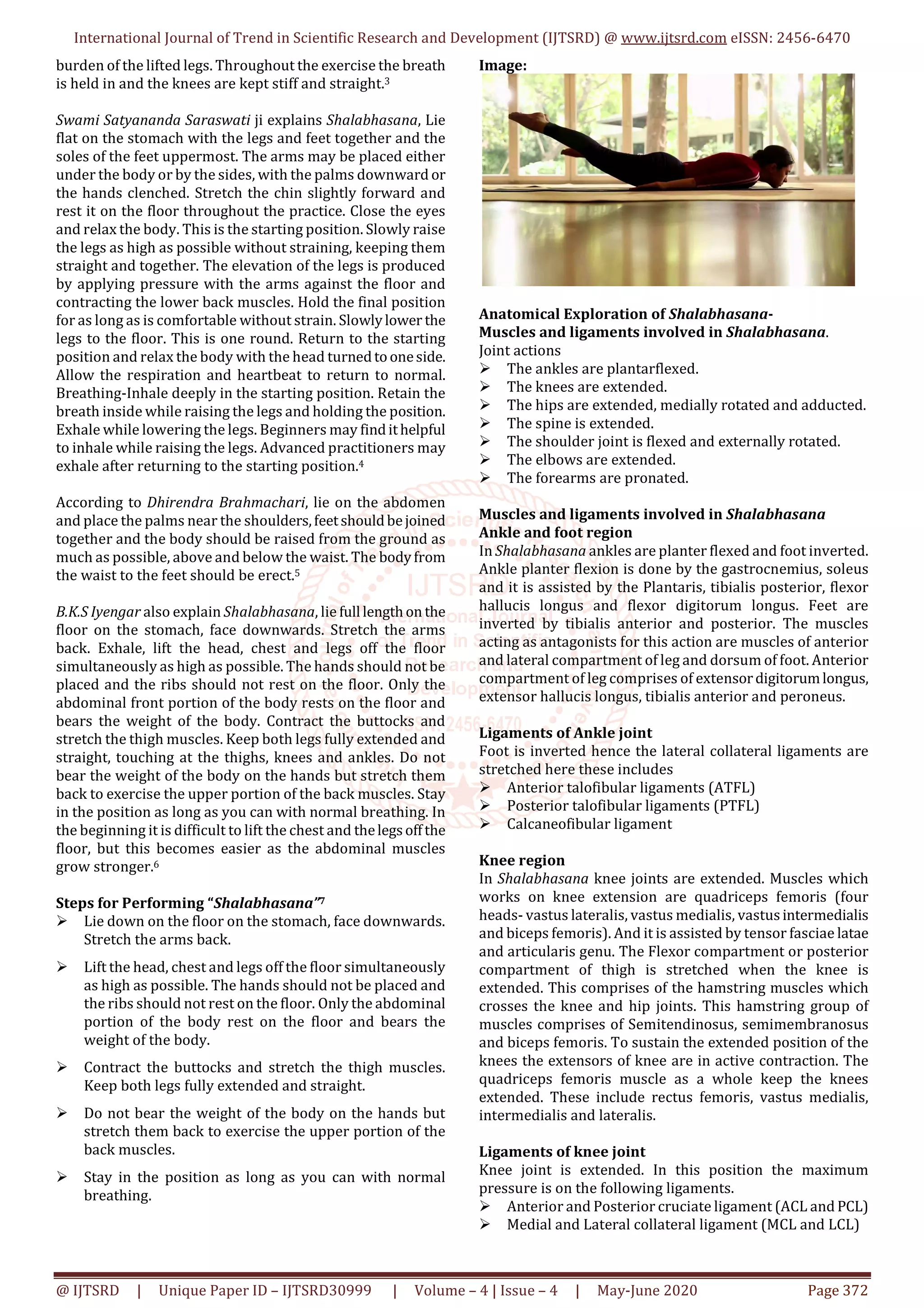 Anatomical Exploration of Shalabhasana | PDF