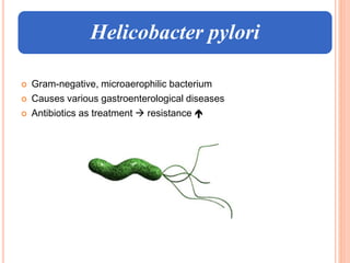 이연석 EPI Presentation | PPTX