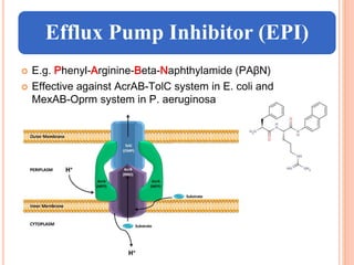 이연석 EPI Presentation | PPTX