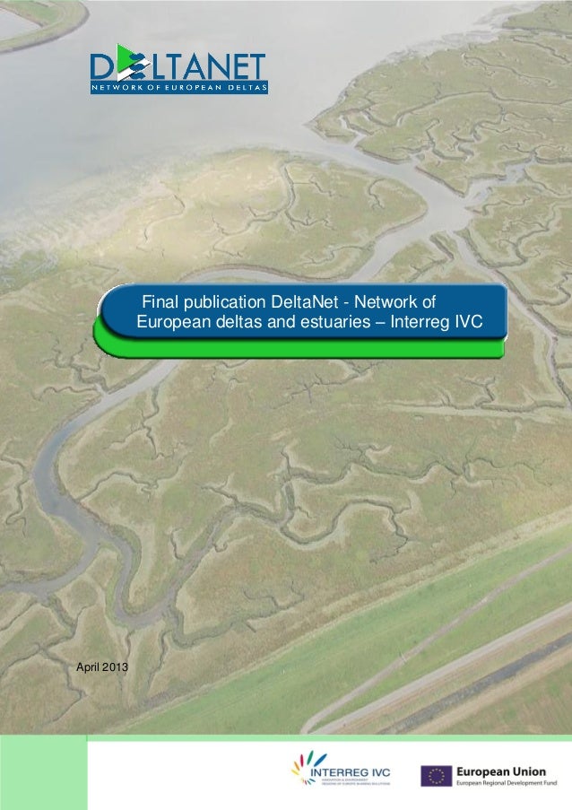 Deltanet Project - Final Report