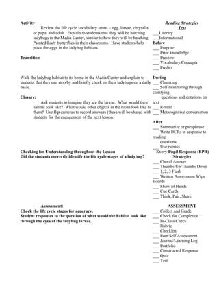 Lovely Ladybugs - lesson 2 | DOC