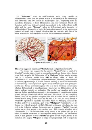 Human Life Cycle in Holy Quran | PDF