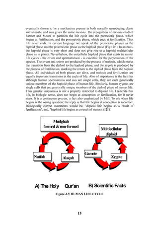 Human Life Cycle in Holy Quran | PDF
