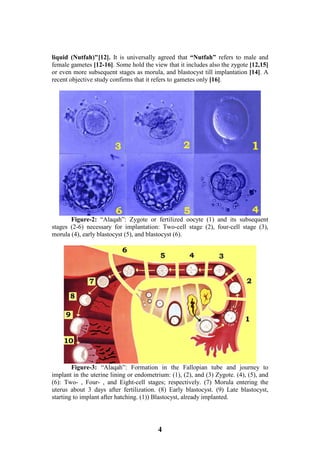 Human Life Cycle in Holy Quran | PDF