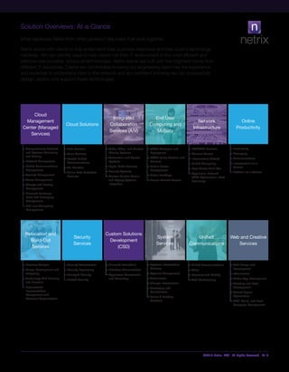 Netrix Services Profile | PDF