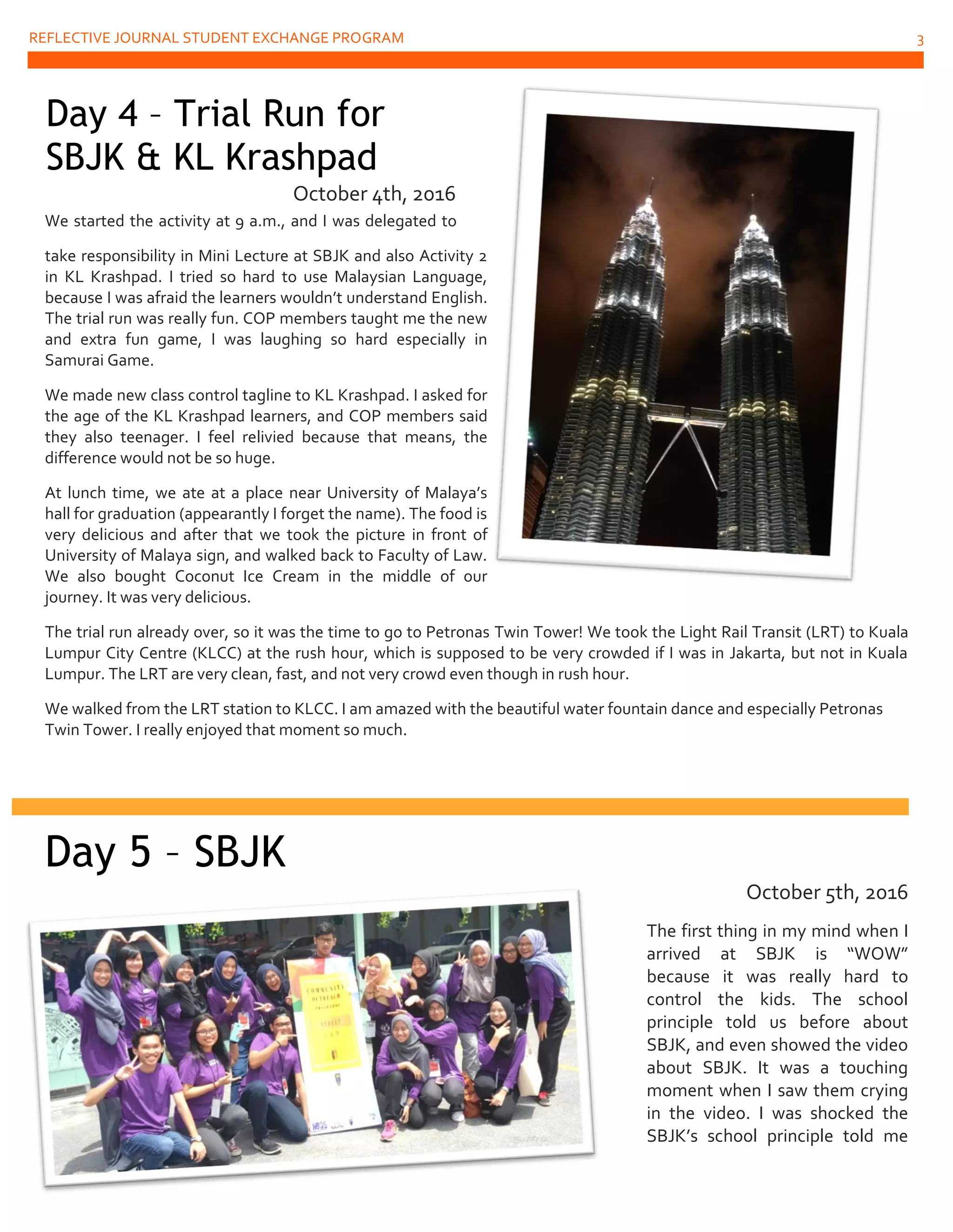 Reflective Journal | PDF