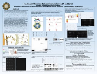 symposium poster | PDF