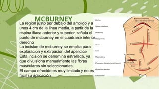 Incisiones-Quirurgicas-y-Planos-Quirurgicos.pptx