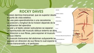 Incisiones-Quirurgicas-y-Planos-Quirurgicos.pptx