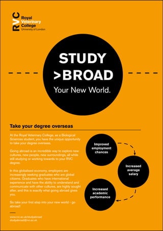 Study abroad poster idea | PDF