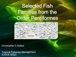 Selected Fish Families from the Order Perciformes | PPTX