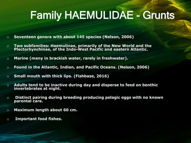 Selected Fish Families from the Order Perciformes | PPT