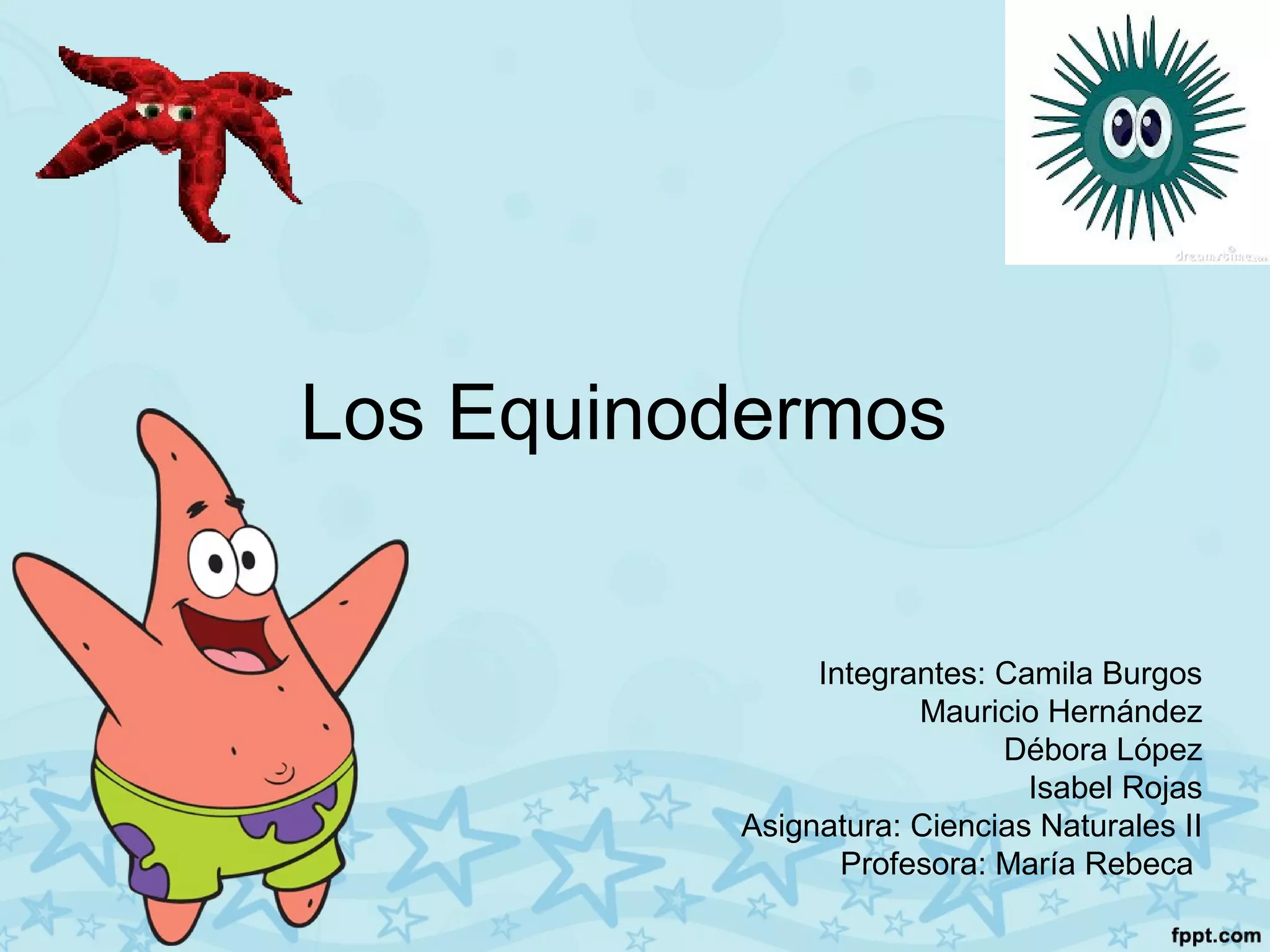 Equinodermos | PPT