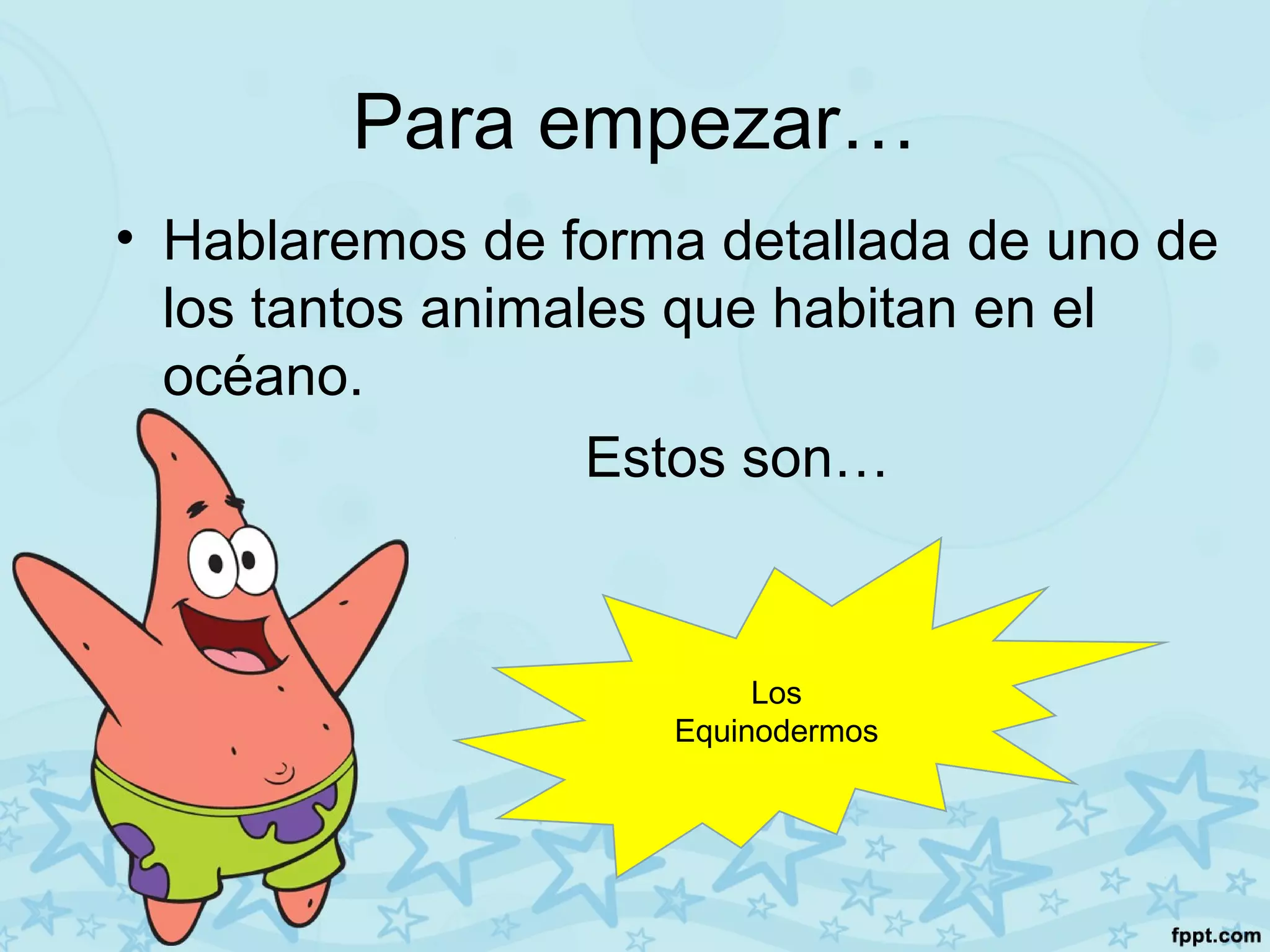 Equinodermos | PPT