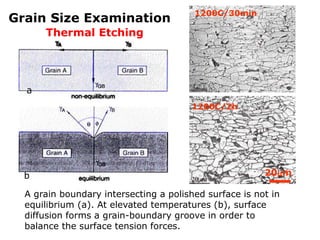 optical microscope and its details working.ppt