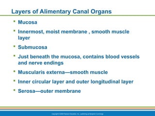 digestive system preesntation of human anatomy | PPT