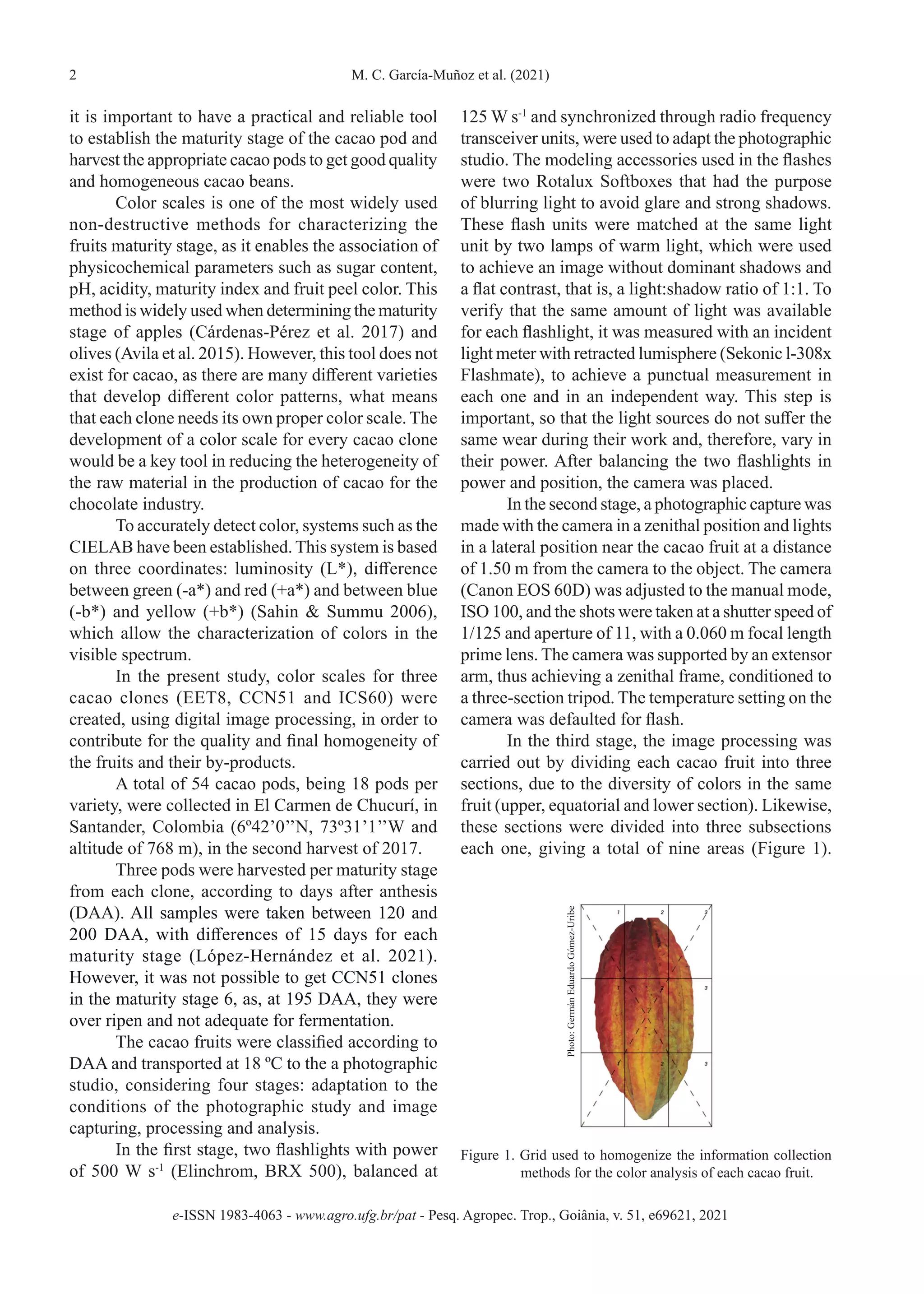 69621 color cacao.pdf