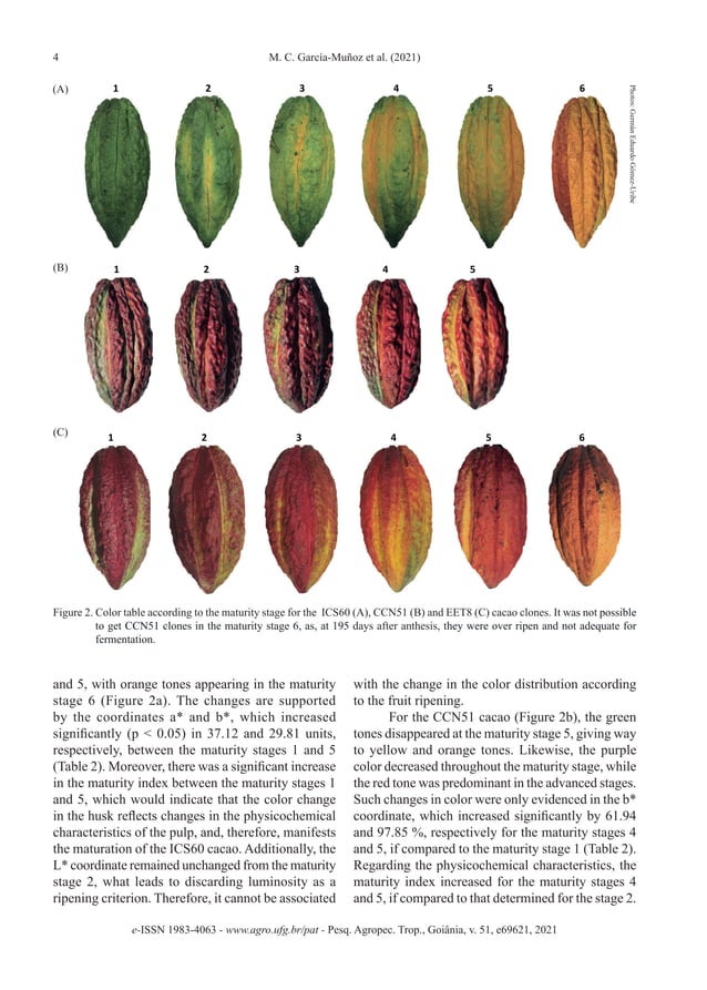 69621 color cacao.pdf