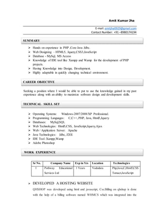 Amit Exp | DOCX | Web Development | Internet