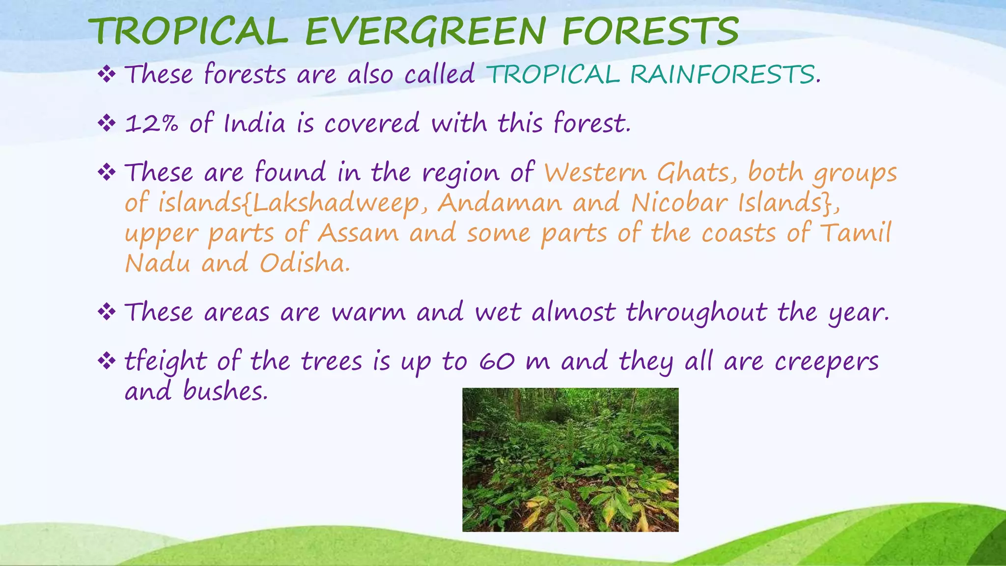 natural vegetation class 9 | PDF