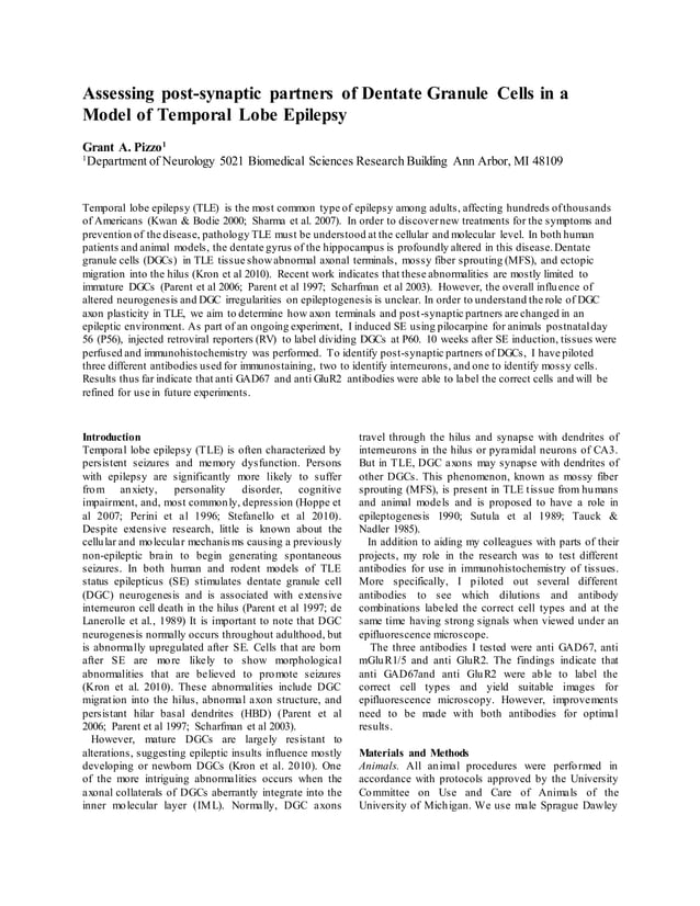 UTF-8''Final Assessing post-synaptic partners of Dentate Granule Cells in a Model of Temporal ...